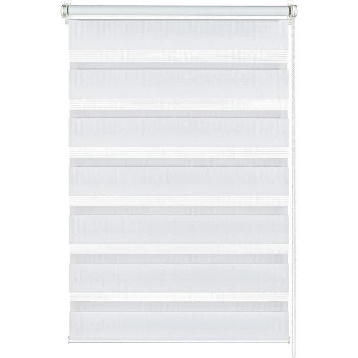 GARDINIA Store Enrouleur Double à Coller ou Clipser, Jour-Nuit ...