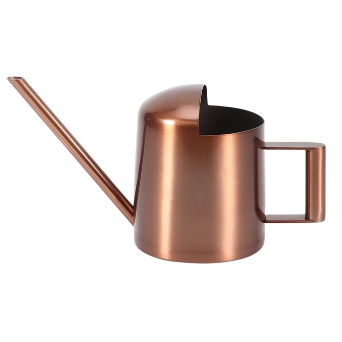 Arrosoir - OKUMGGYJ - 300 ml - Acier inoxydable - Long bec - Design ...