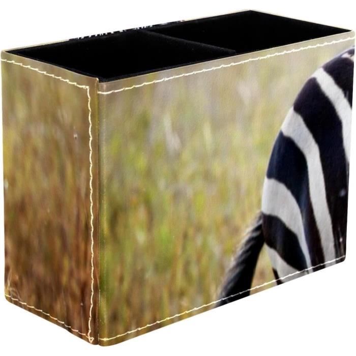 African Savanna Zebra Pot À Crayons Pour Bureau, Porte-Stylo Avec 2 ...