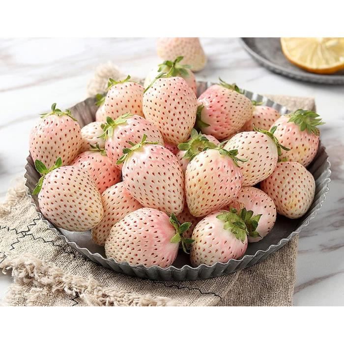 100pcs Graines De Fraises Blanches Fruits Rares Bonsaï DIY Plantés En ...
