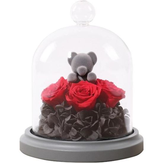La Belle Et La Bête Rose, Rose Bear Immortal Flower Gift Box, Fête Des ...