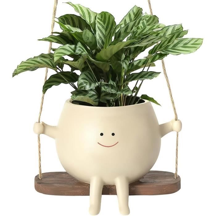 Pot De Jardinière À Visage Pivotant, Jardinière Suspendue Avec Visage ...