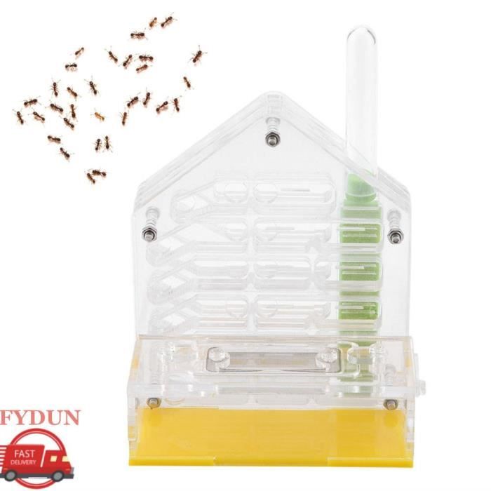 Formicarium - FYDUN - Villa Maison Acrylique - Élevage Fourmis ...