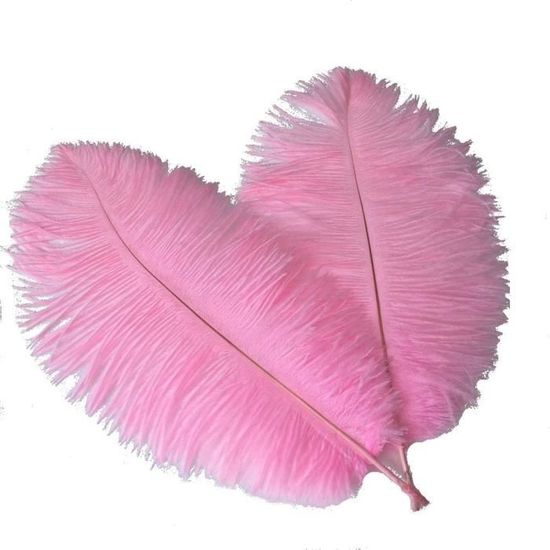Lot De 10 Plumes D'Autruche De 45 À 50 Cm Pour Centre De Table De ...