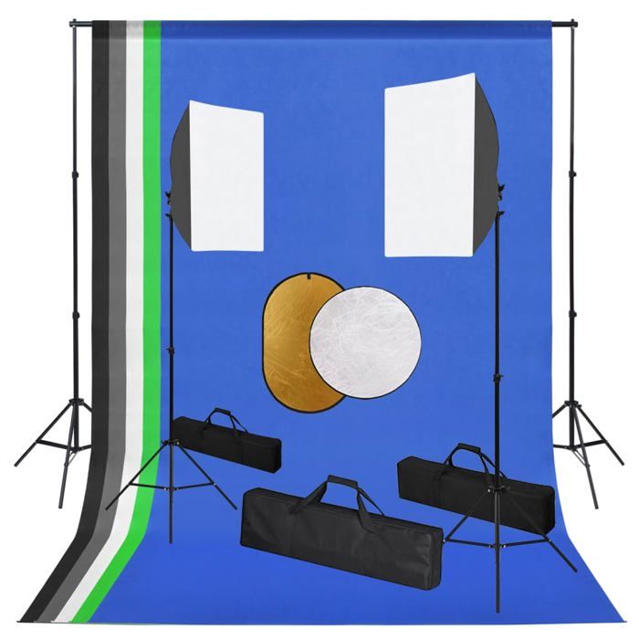 Kit de studio photo professionnel avec lampes 5 toiles de fond et ...