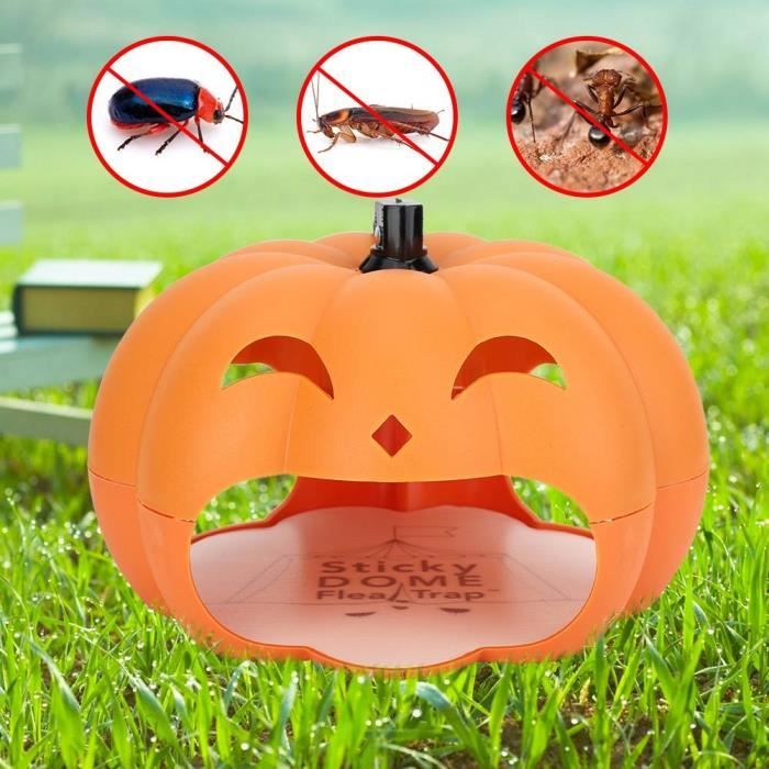 HURRISE Zapper Ant cafard piège à insectes en forme de citrouille piège ...