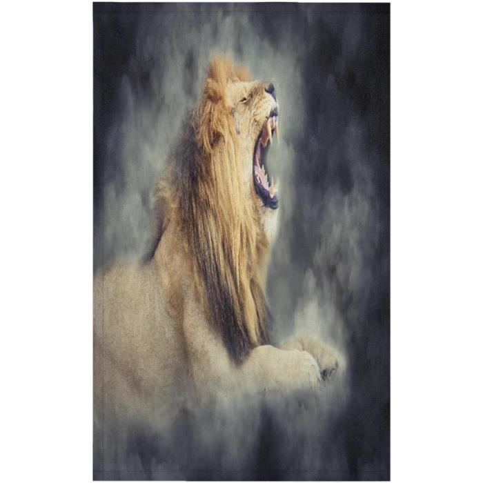 Lot de 1 torchons de cuisine motif lion mâle fumé - Doux et absorbant ...