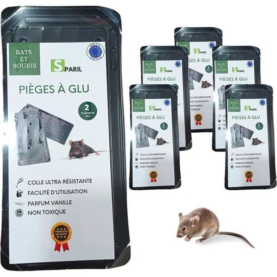 Piege A Rat Et Souris avec Colle Ou Glu Puissant. 10 Plaques Collantes ...
