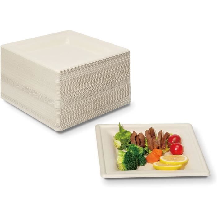 Assiettes Jetable - Assiette Carré Carton 60 Pièces 20.3cmx20.3cm ...