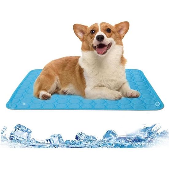 Tapis Rafraîchissant Pour Chiens Et Chats : 70 X 55 Cm - Grande ...