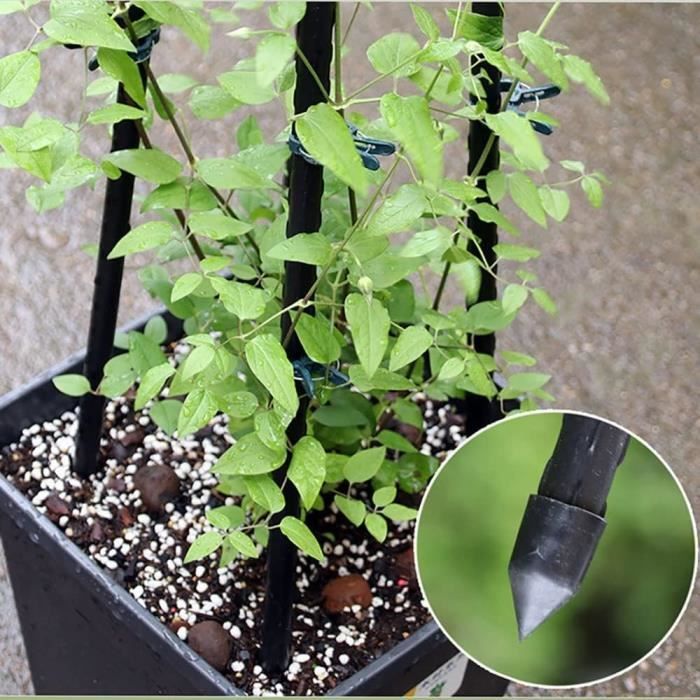 Noir Tuteur Jardin Pyramide,Colonne Autoportante Pour Rosiers,Support ...
