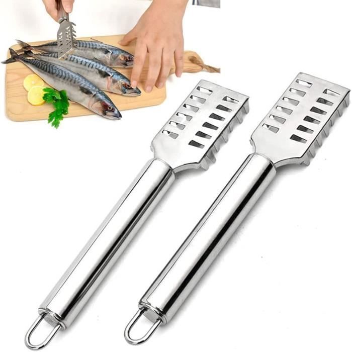 2 écailles De Poisson En Acier Inoxydable, Grattoir à Couteau à Poisson ...