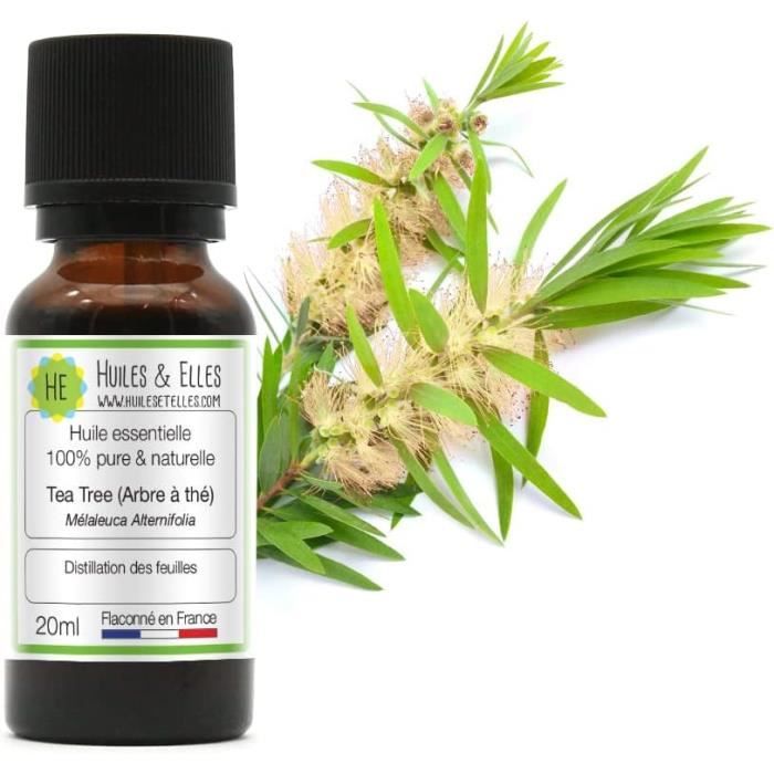Huile Essentielle Tea Tree (Arbre À Thé) 100% Pure & Naturelle - 20Ml ...