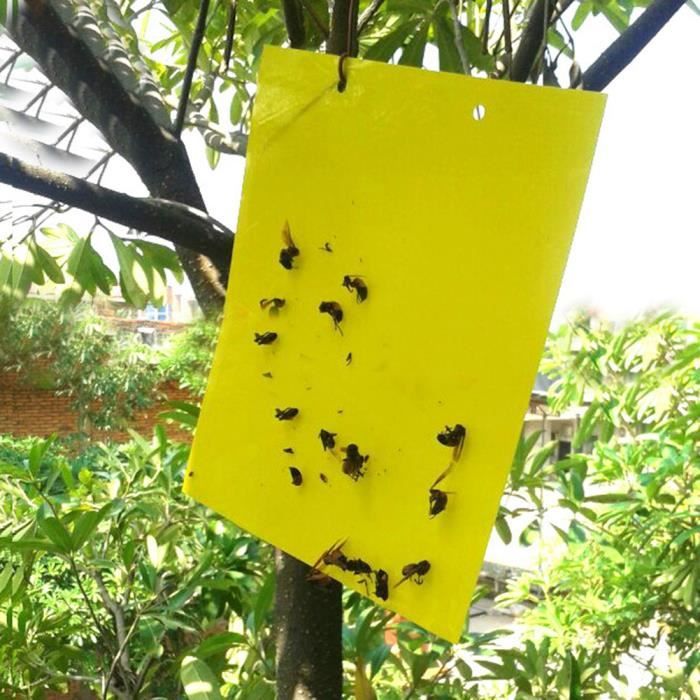 Attrape-insectes double face SURENHAP - Pack de 50 - Jaune - Pièges ...