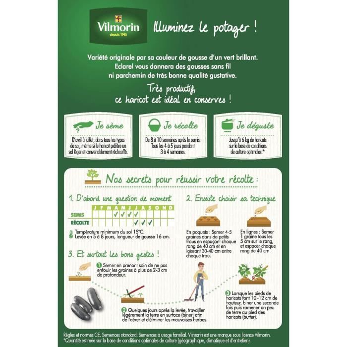 Haricot Eclarel Extra-Fin - Couleur Vert Brillant - Pieds Nains - Variété Très Productive ...