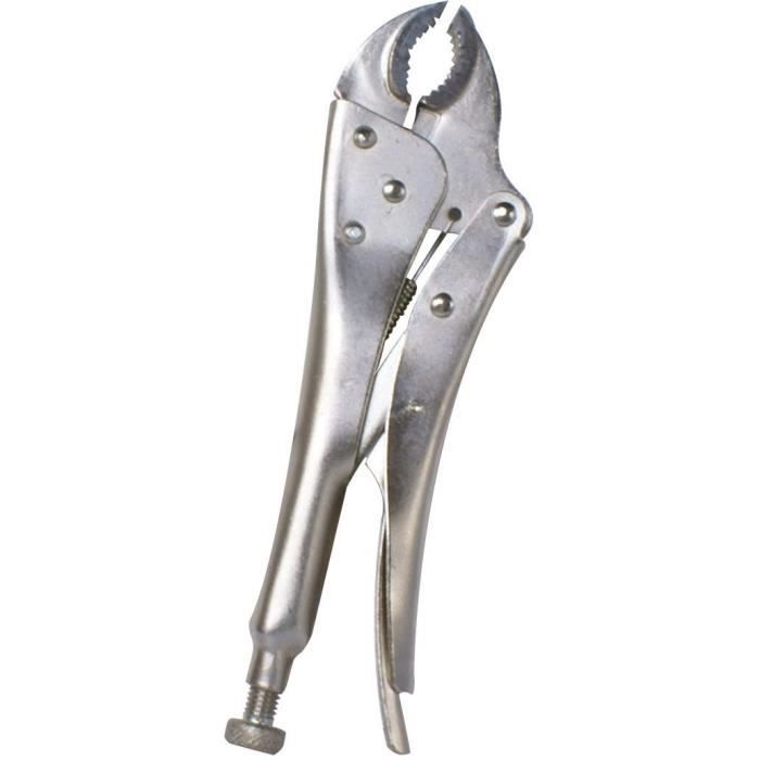 Pince à étau - TECH-IT - 250mm - Acier - Résistante - Vis de réglage et ...