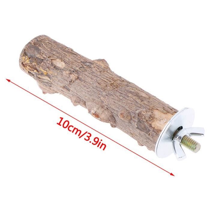 Bûches naturelles en bois 10-15-20cm, oiseau perroquet, morsure d ...