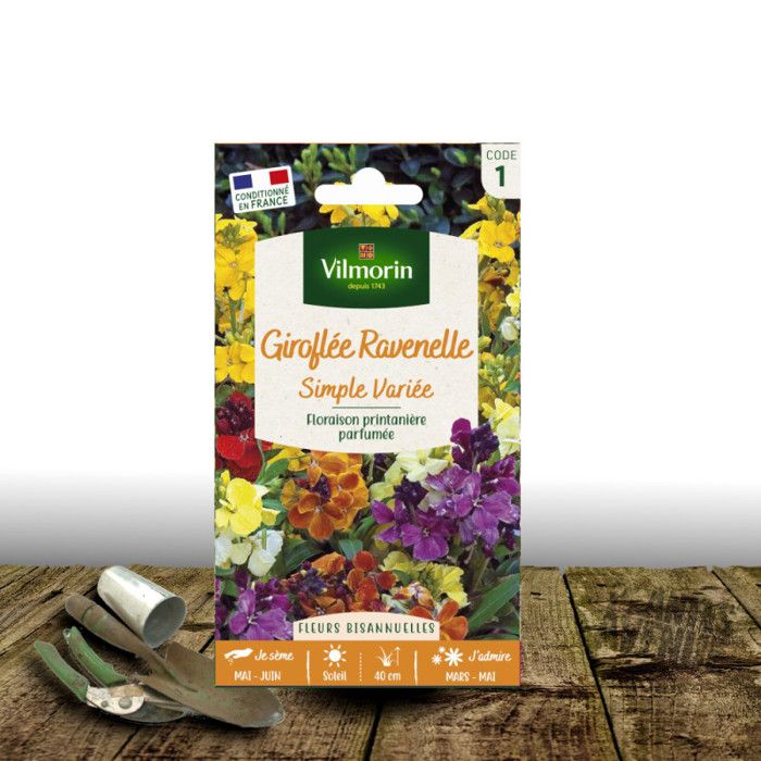 Graines de Giroflée ravenelle variée - Vilmorin - Cdiscount Jardin