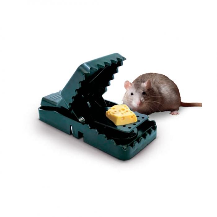 4 Piège à souris - VENTEO - Tapette à souris professionnel - Piège réutilisable - Convient pour ...