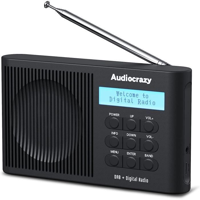 Portable Radio Dab + Fm-Dab, Petite Radio Numérique Avec Batterie 2200 ...