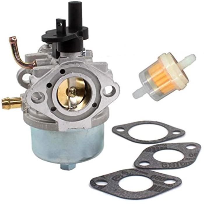 Carburateur avec joint d'étanchéité remplace 801396 801233 801255 pour ...