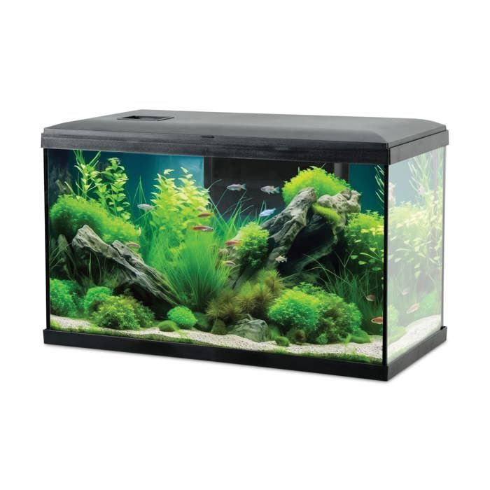 Aquarium poisson Tana LED 60cm noir - Zolux Noir - Cdiscount Animalerie