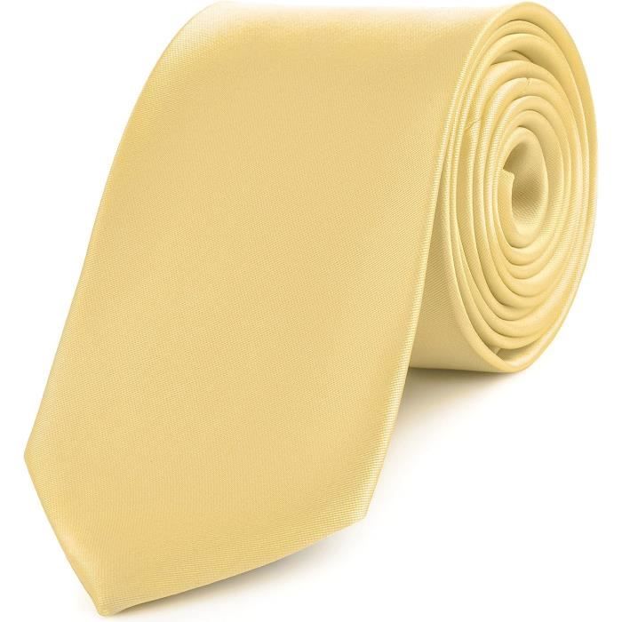 Cravate Large Diversité De Couleurs Accessoire Vêtement Homme Kp-8 ...