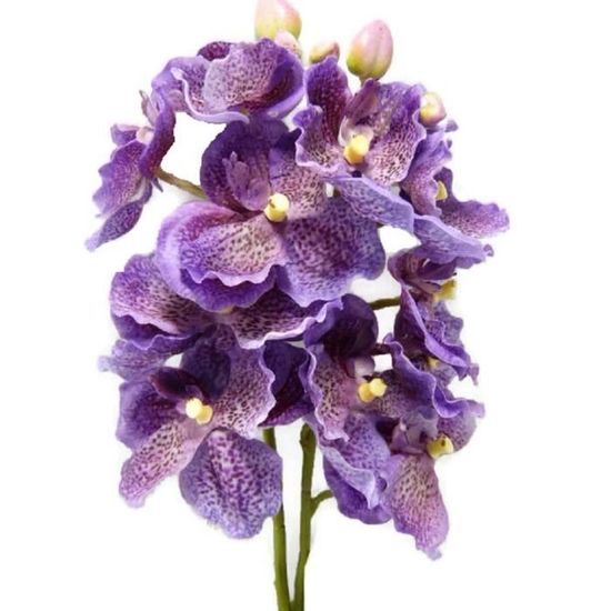 Bouquet artificiel Vanda Orchidée Violet 2 branches 44 cm visuel et ...