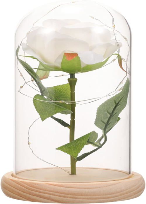 Rose enchantée dans un dôme en verre avec lumières, rose artificielle ...