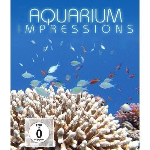 DVD - Aquarium Impressions - Cdiscount DVD