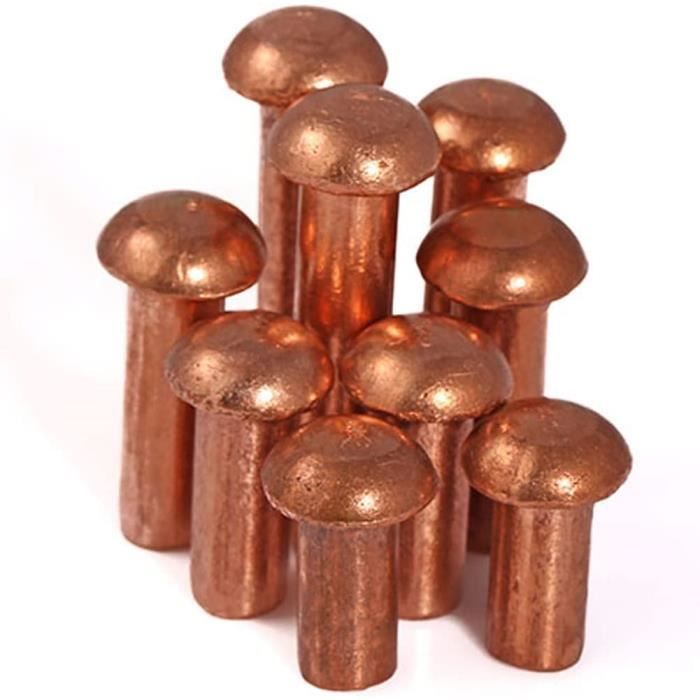 100 PCS M2 Rivet Acier Inoxydable Tête Ronde Tige Moletée Solide Rivets ...