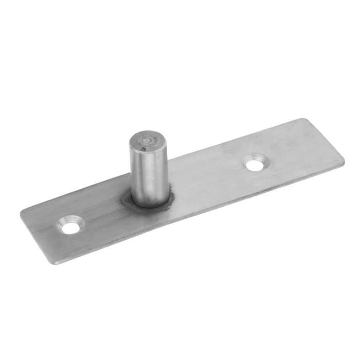 Fdit Charnière pivotante Charnière de pivot de porte d'acier inoxydable ...