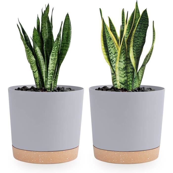 Lot De 2 Pots De Plantes 20.3Cm, Pots Pour Plantes D'Intérieur Avec ...