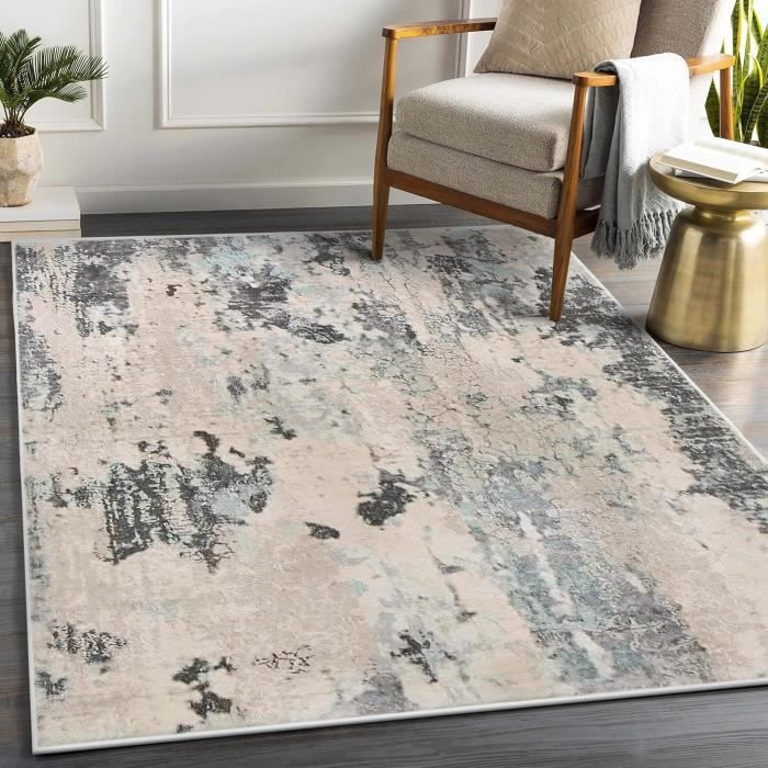 Tapis Abstrait Moderne Tapis Salon Gris Poils Courts Antidérapant Grand ...
