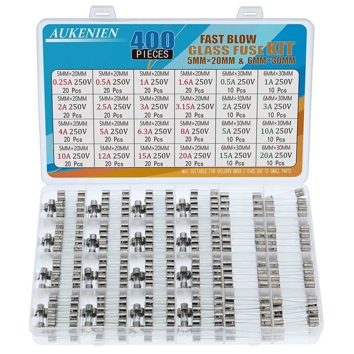 AUKENIEN 24 Valeurs 400 Pièces Fusible en Verre 5x20mm 0,25A 0,5A 1A 1,6A 2A 2,5A 3A 3,15A 4A 5A ...