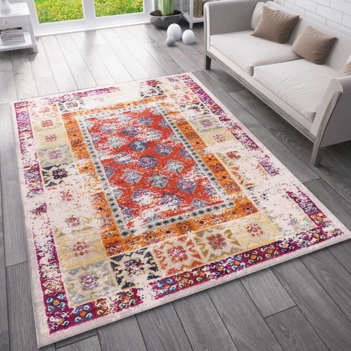 Tapis vintage multi rose Salon 160x220 cm - Cdiscount Maison