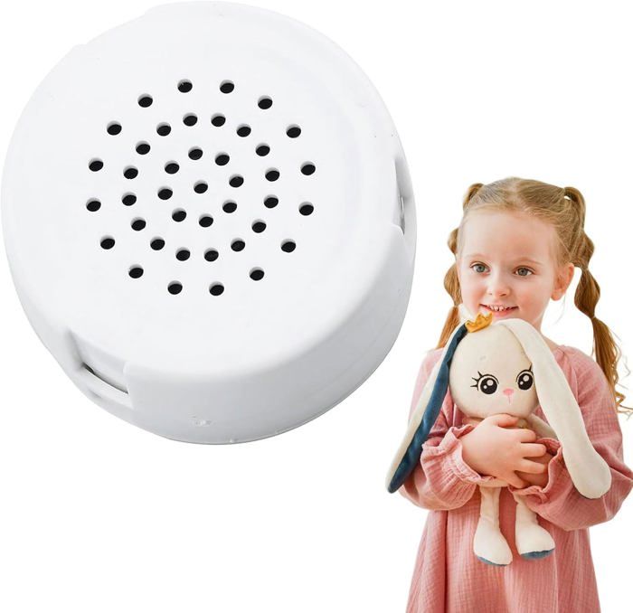 Mini enregistreur vocal pour peluches, boîte à boutons compacte ...