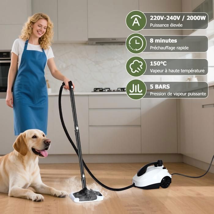 Nettoyeur Vapeur - Avec 17 Accessoires - 5 Bars - 2000W-Pour Cuisine ...