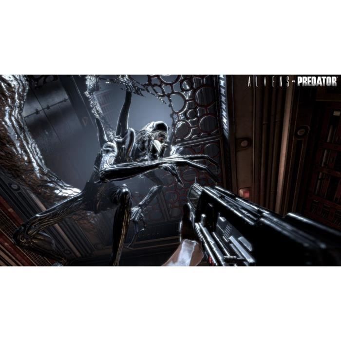 ALIENS VS PREDATOR / JEU PC DVD-ROM - Cdiscount Jeux vidéo