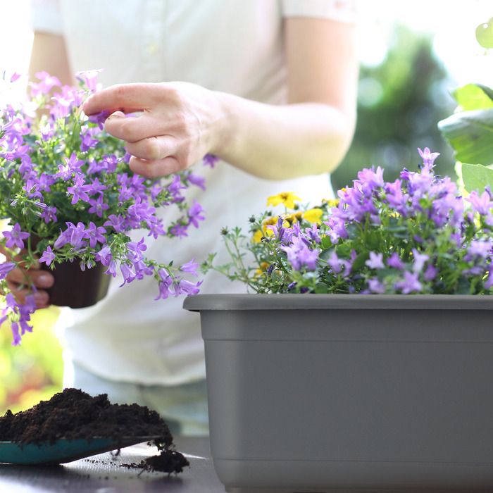 Jardinière Balcon KADAX Evron 40cm, Anthracite, Durable et Élégante ...