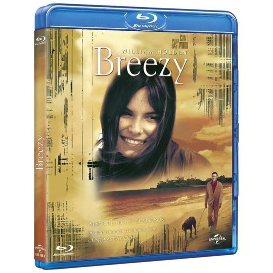 Blu-Ray Breezy - Cdiscount DVD