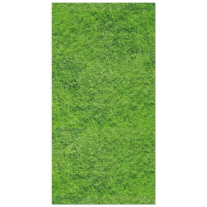 Tapis Extérieur Panorama Gazon 80x150 cm - Tapis Vinyle pour Balcon et ...