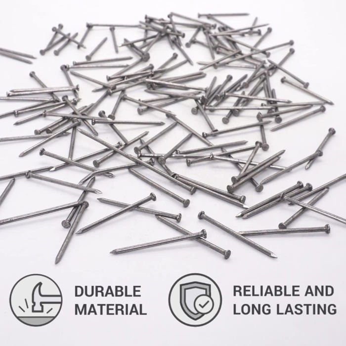 Skir'co Lot de 150 clous de construction a tete ronde et plate en acier ...