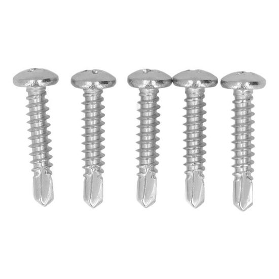 HURRISE Vis autoperceuse Lot de 100 Vis Auto-perceuses à Tête Ronde en Acier Inoxydable 304 pour ...