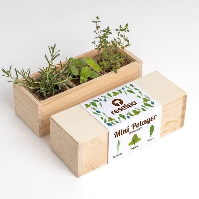 | Kit De Plantation | Mini Potager | Méditerraneé | Romarin, Origan Et ...