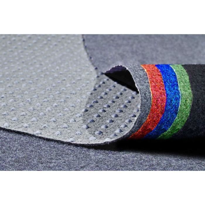 Moquette D'Extérieur Ou D‘Intérieur | Dimensions Et Couleurs Au Choix ...