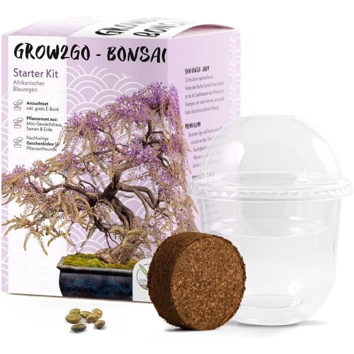 Grow2Go Bonsai Kit Avec Ebook Gratuit - Bonzai Set Avec Mini-Serre, Graines Et Terre - Idée ...