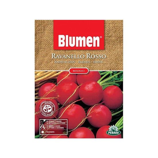 Sementi di Ravanello Rosso biologici orto giardino semi seeds Blumen ...