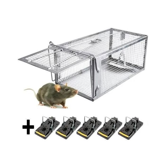 Pige Souris Castoramanull