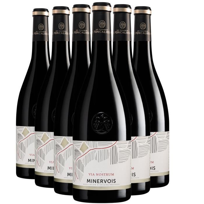 Minervois Via Nostrum Rouge 2019 - Lot de 6x75cl - Les Vignobles ...